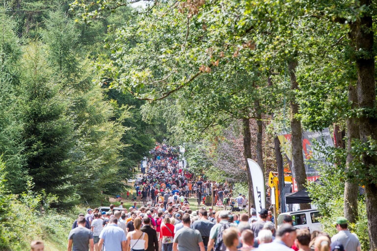 Demo Forest : L’évènement forestier de la Foire / Libramont & Co