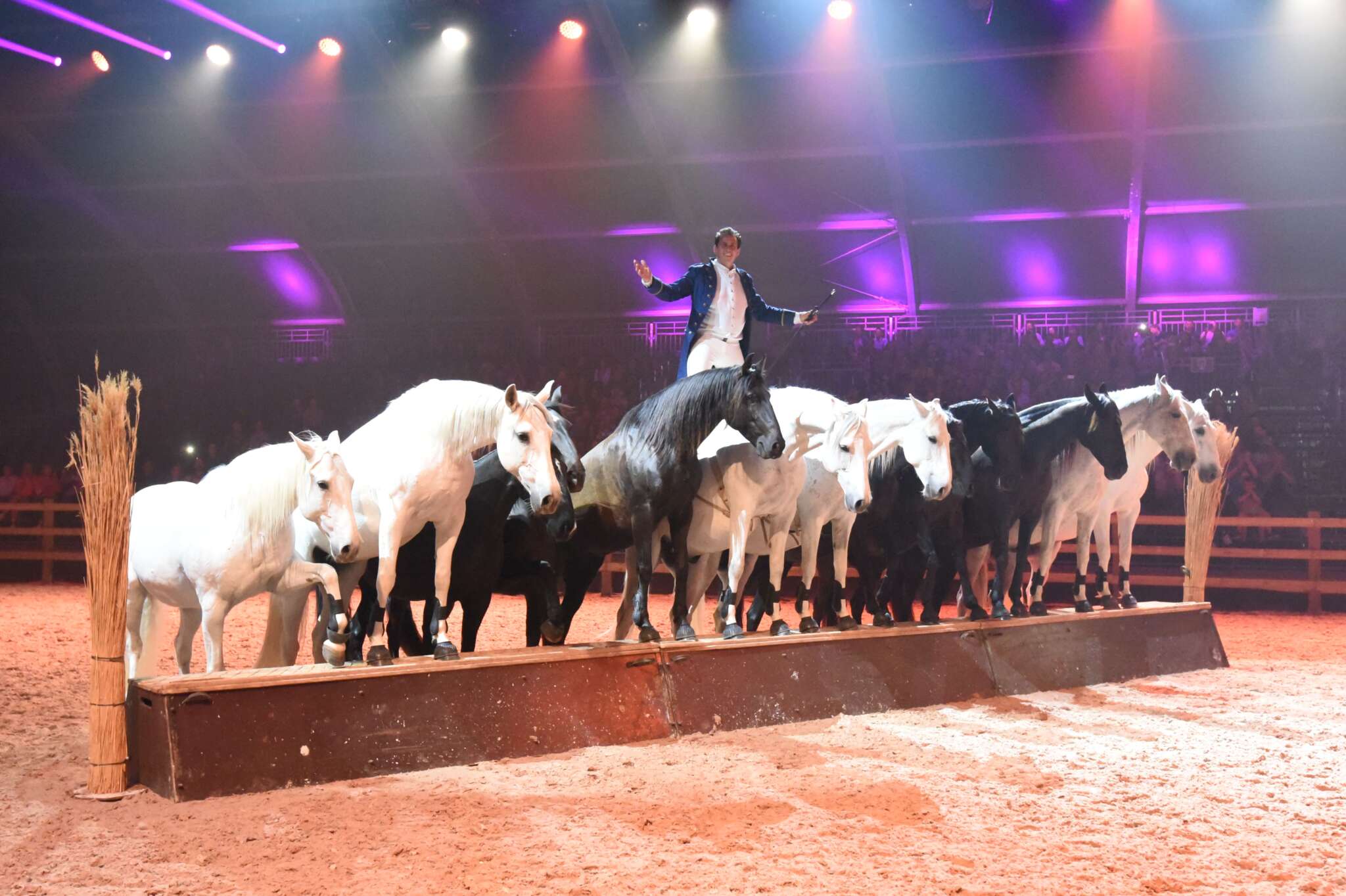 Salon du cheval : Wallonie Equestre Event / Libramont & co